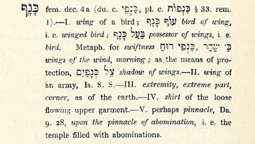 Extremity, extreme part, corner: כַּנְפ֥וֹת – kanaph – Matty's Paradigm