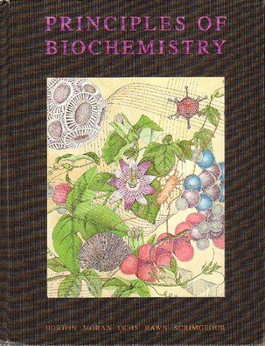 Principles of Biochemistry – Matty's Paradigm